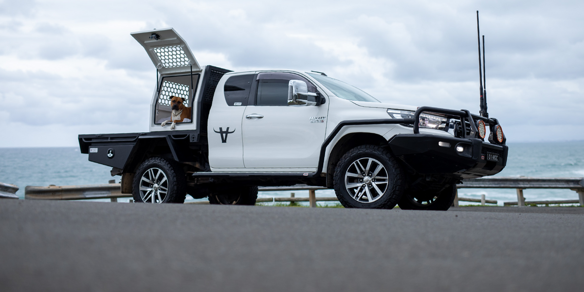 Extra Cab Ute Canopy | Australian Performance Boxes